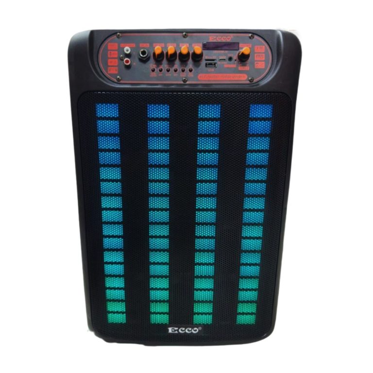 Ecco 12″ Portable Speaker MV9909 – Soundtech Online